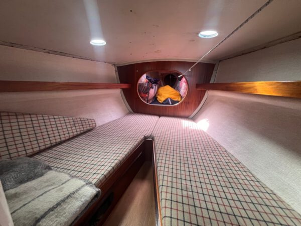 Molich X-meter - D-17 for sale